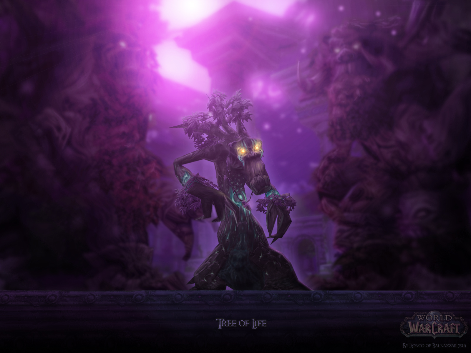 Галерия | EVOWOW Private Wow Website | Снимки